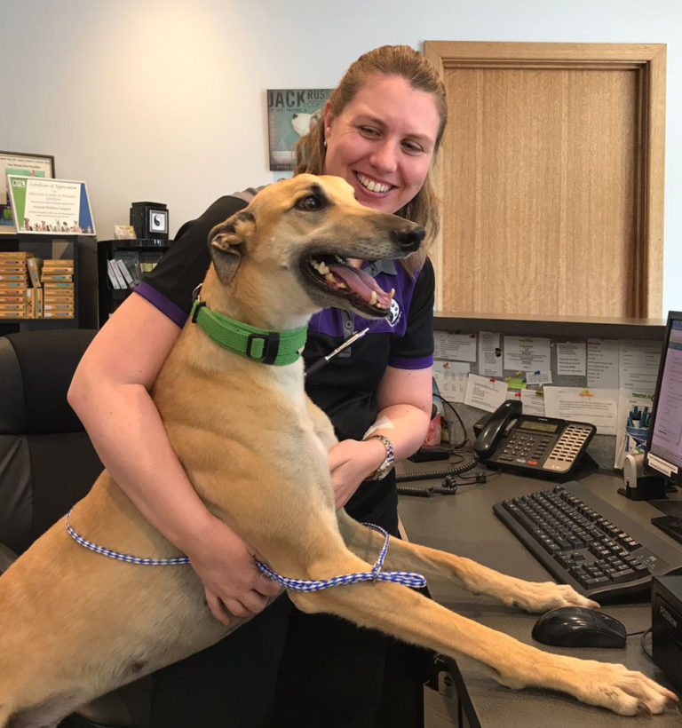 Contact Us | Adelaide Plains Veterinary Surgery